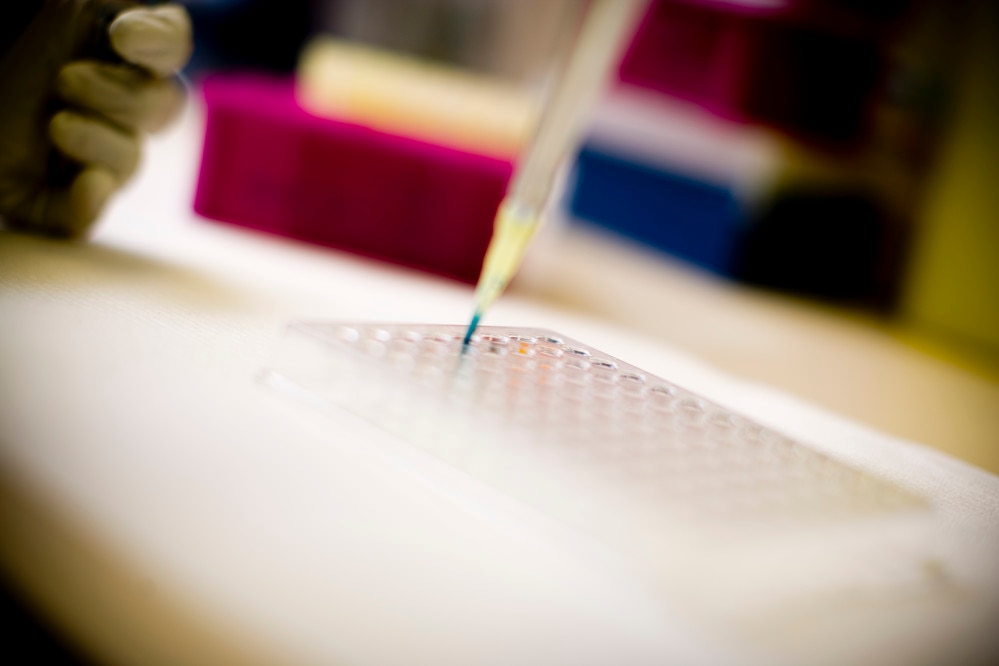 Cells | British Council